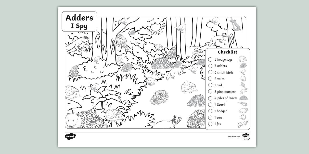 Adders I Spy Activity Sheet (teacher made) - Twinkl