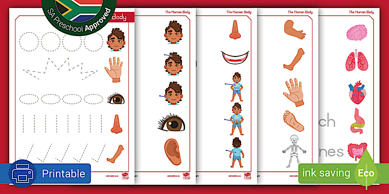 My Body Parts Worksheet - Twinkl South Africa - Twinkl
