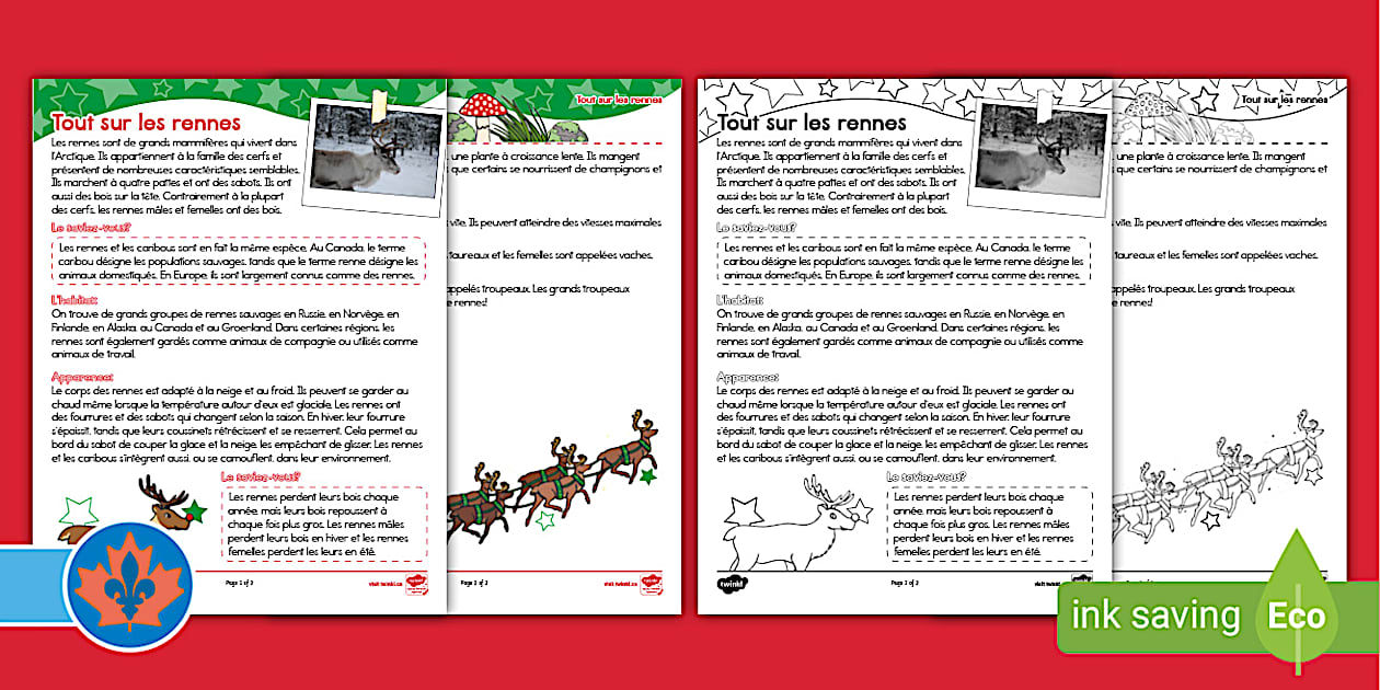 Christmas in Canada All About Reindeer Fact File French