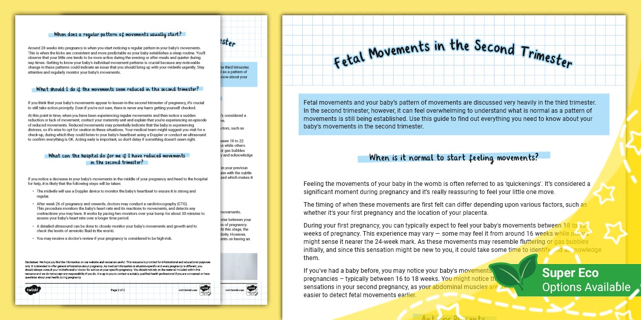 FREE! - Fetal Movements in the Second Trimester - Twinkl