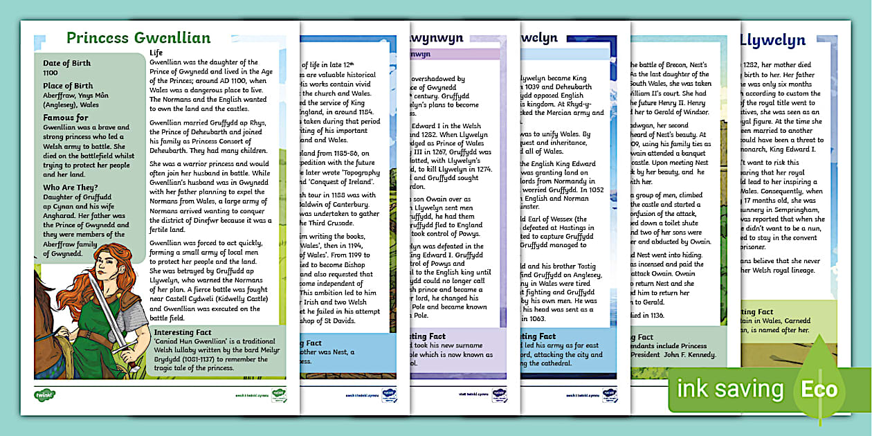 Age of the Princes Fact File Pack - Welsh Rulers - Twinkl