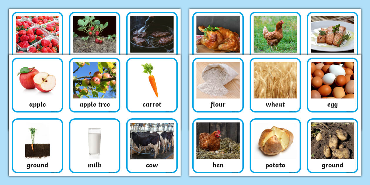 Food Origins Matching Cards (teacher made) - Twinkl