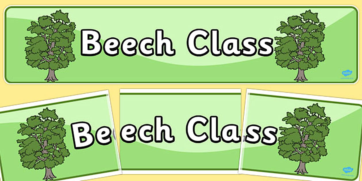 Beech Class Display Banner - Twinkl
