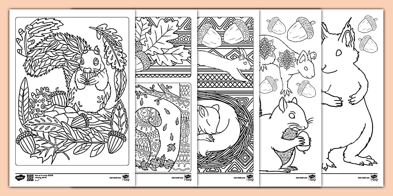 Squirrel Mindfulness Colouring Pages - Twinkl - KS1 - Twinkl