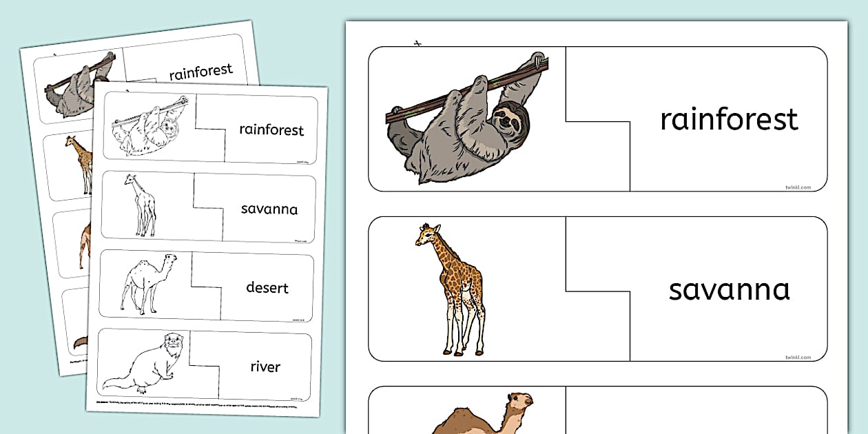 Animals and their Habitats Matching Puzzle (teacher made)