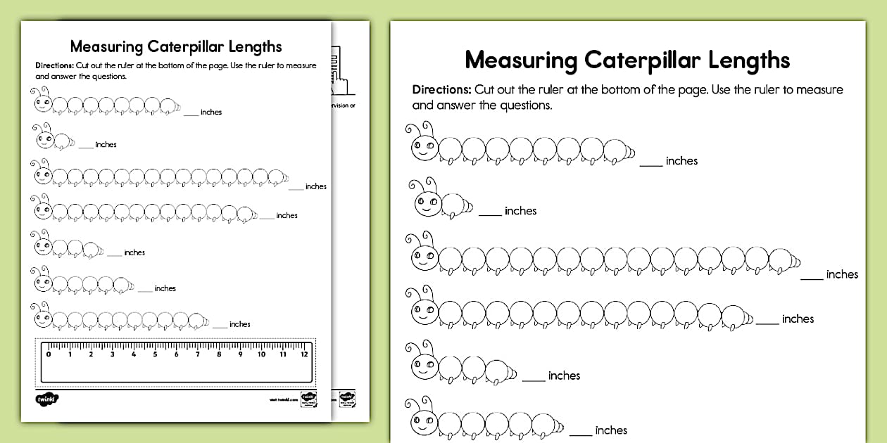 Second Grade Measuring Caterpillar Lengths Activity - Twinkl
