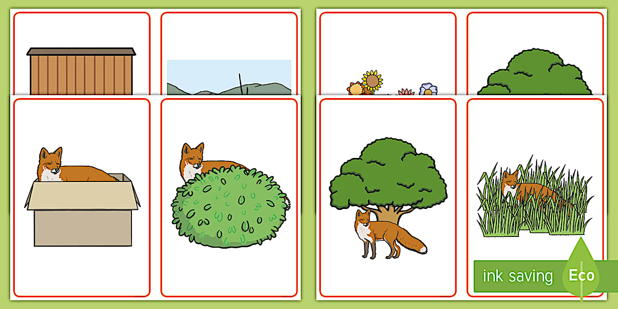 Where Is The Fox? Preposition Picture Cards - Twinkl NZ