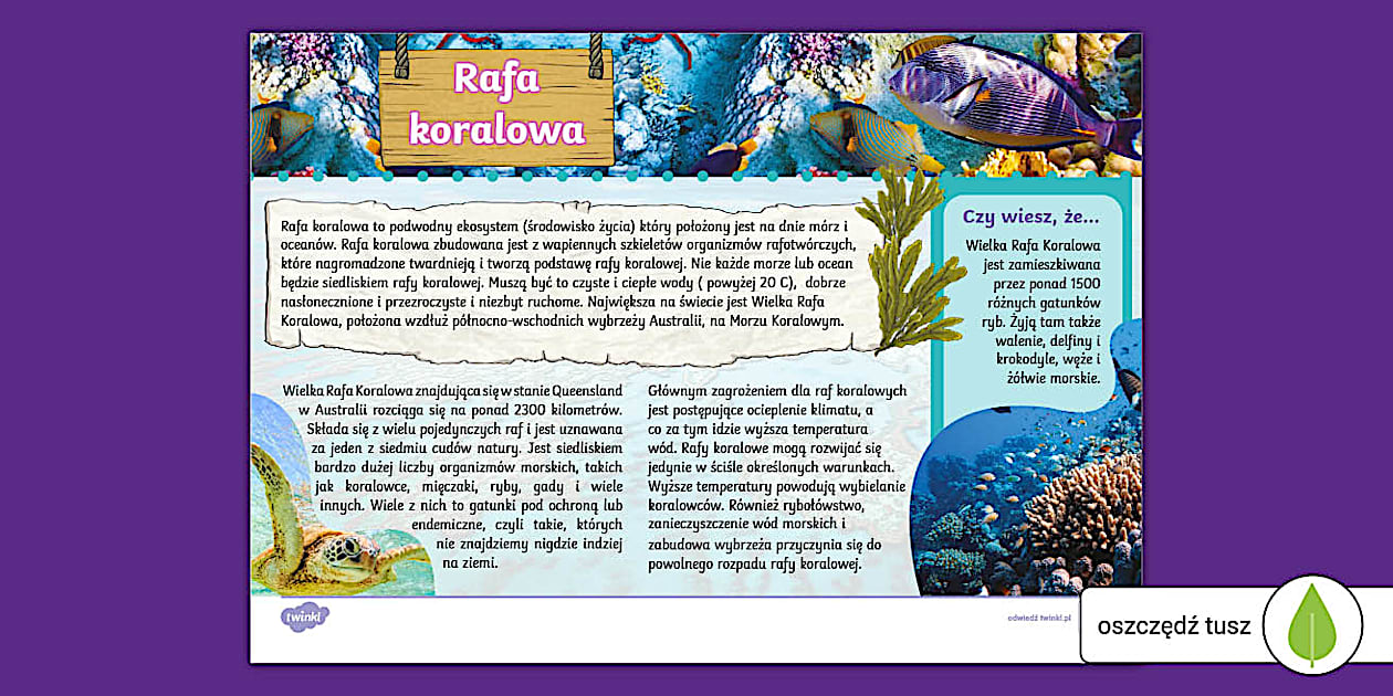 Rafy koralowe | Karta faktów | Edukacja przyrodnicza