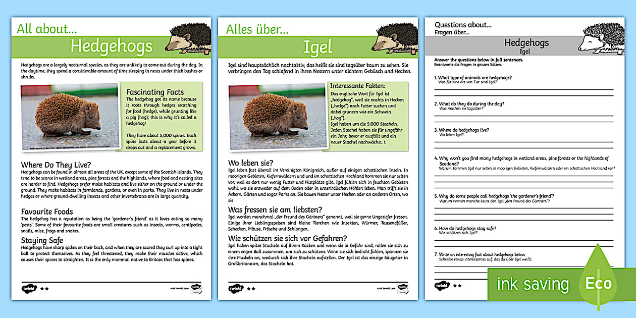 Hedgehogs Reading Comprehension Pack English/German - Twinkl