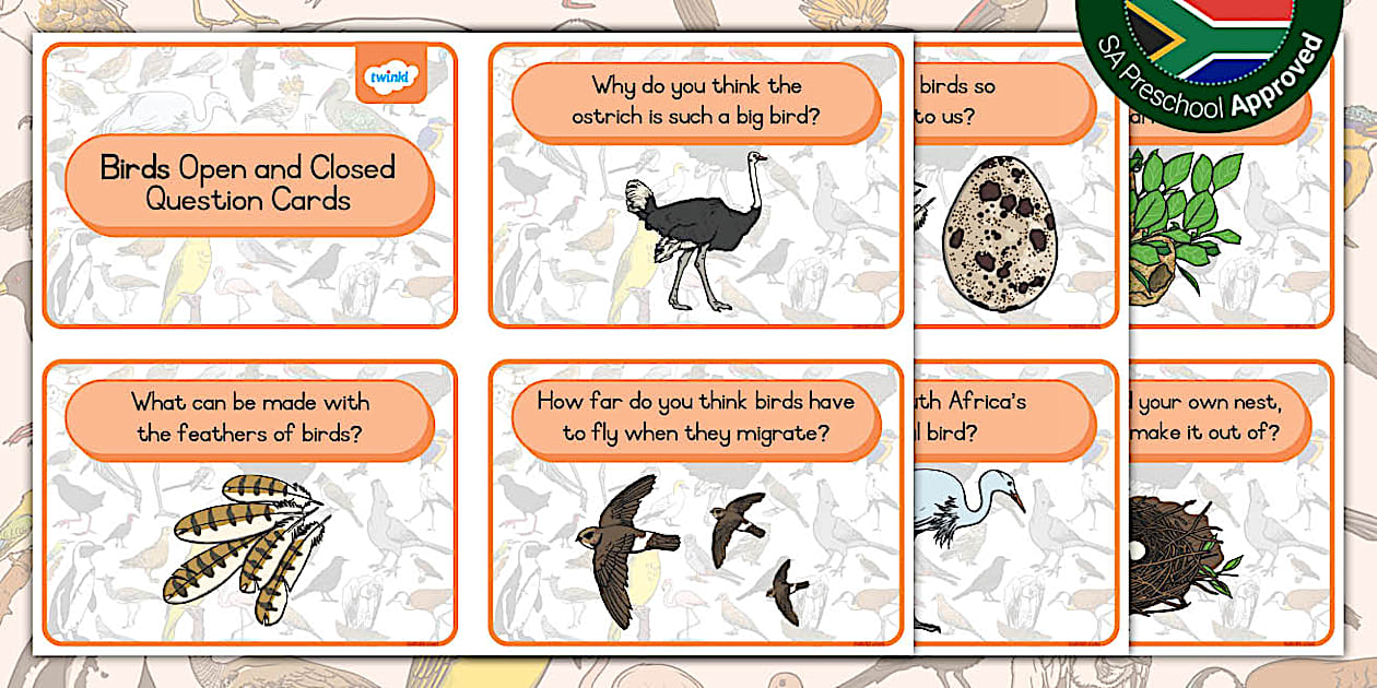 Birds: Open- and Closed Question Cards (teacher made)