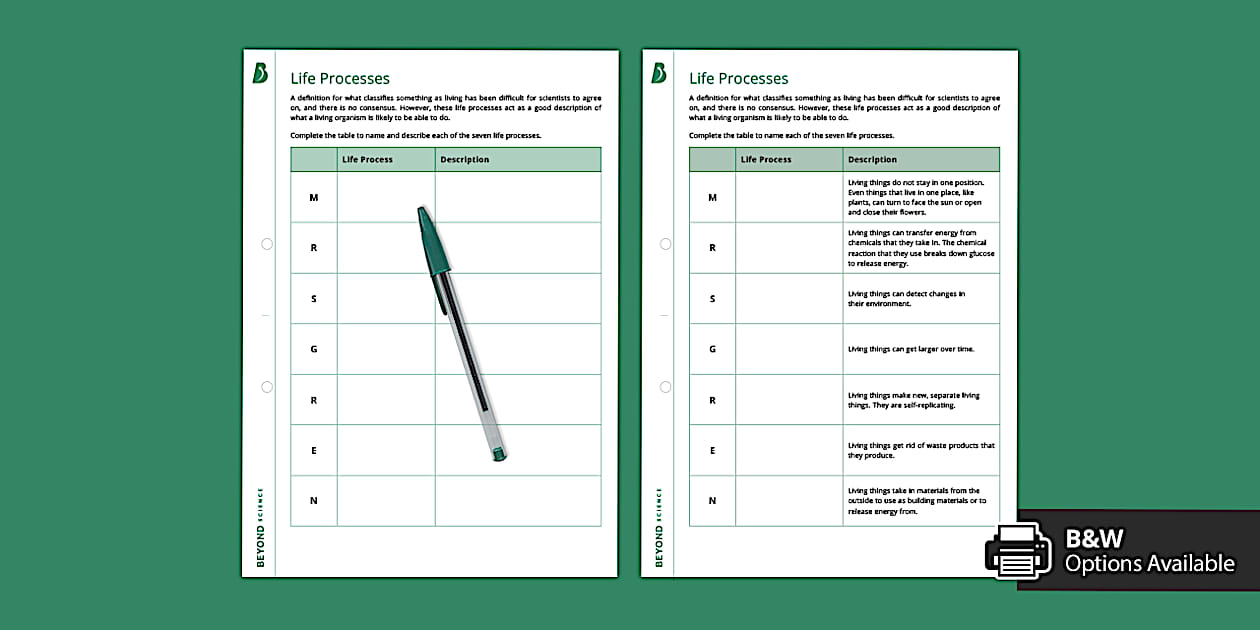 MRS GREN Life Processes Worksheet | KS3 Biology | Beyond