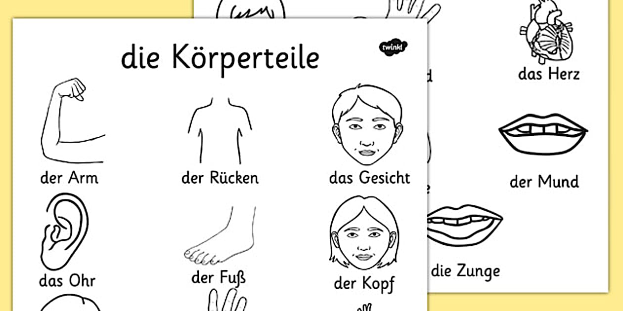 die Körperteile Dictionary Colouring Sheet German - Twinkl