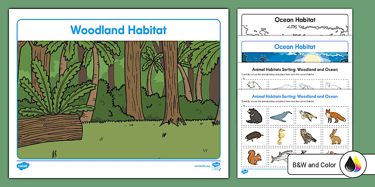 Editable Animal Habitats Sorting Activity Worksheet: Woodland and Ocean for