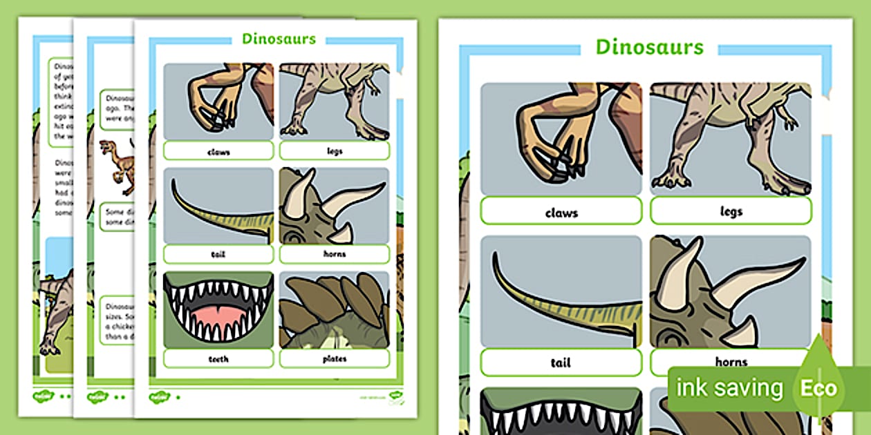 Editable Let's Learn About Dinosaurs Fact File - Twinkl