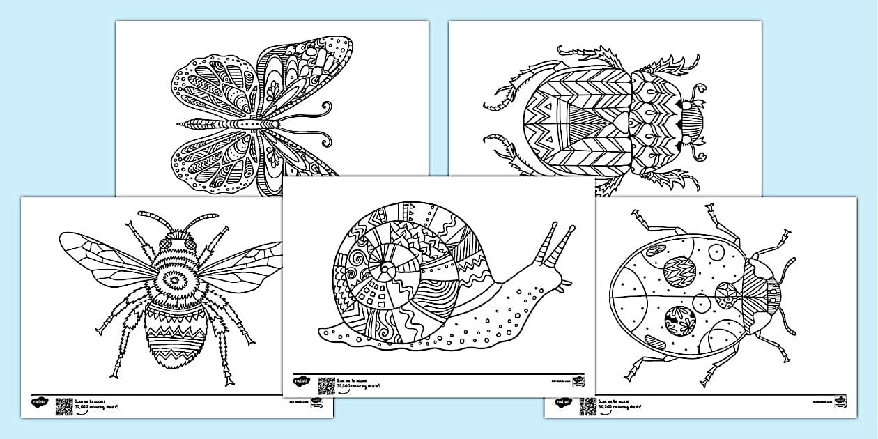 Minibeasts Colouring Sheets - Twinkl Resources - Twinkl