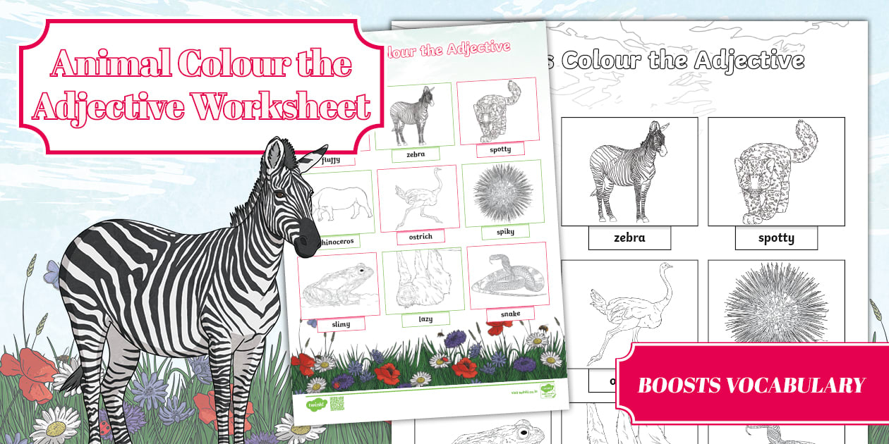 * NEW * Animal Colour the Adjective Worksheet