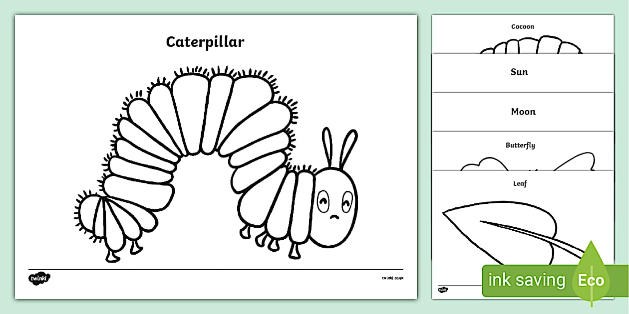 Editable Colouring Sheets to Support Teaching on The Very Hungry ...