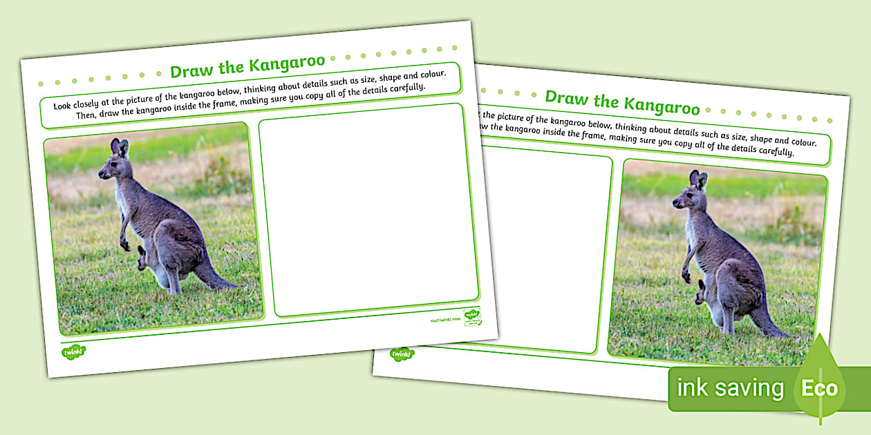 Draw the Kangaroo Activity, Kangaroo (teacher made) - Twinkl