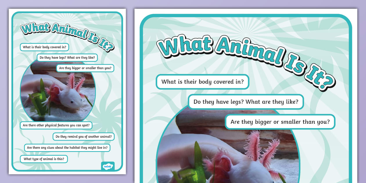What Animal Is It? Amphibian Discussion Prompt Poster