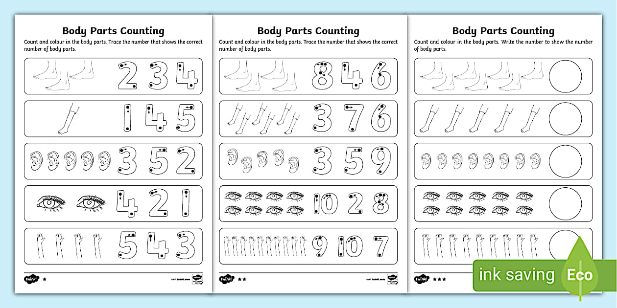 Editable Body Parts Count and Write Worksheet - Twinkl