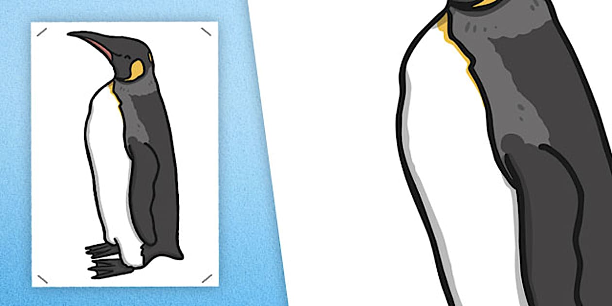 Large Emperor Penguin Cut Out (teacher made) - Twinkl