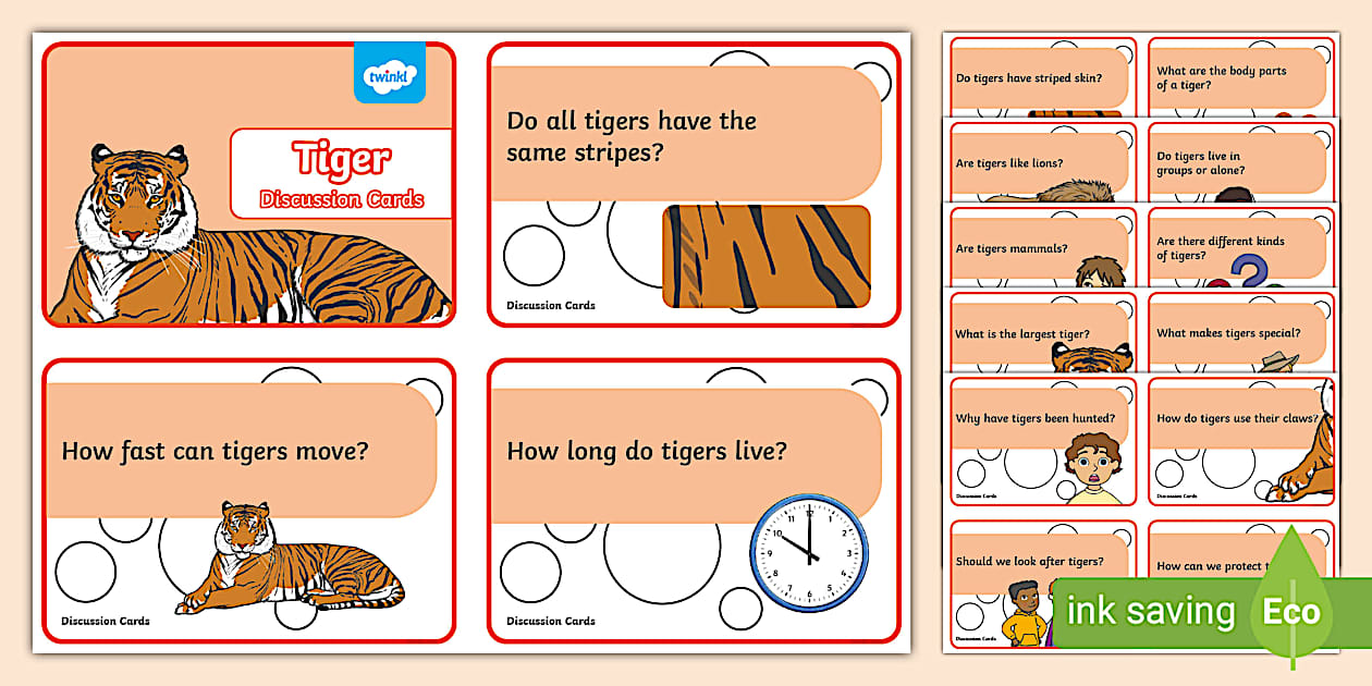 Tiger Discussion Cards (Teacher-Made) - Twinkl