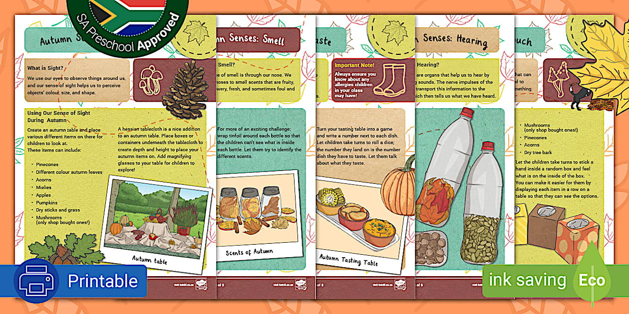 Preschool: Autumn - Sensory Activities