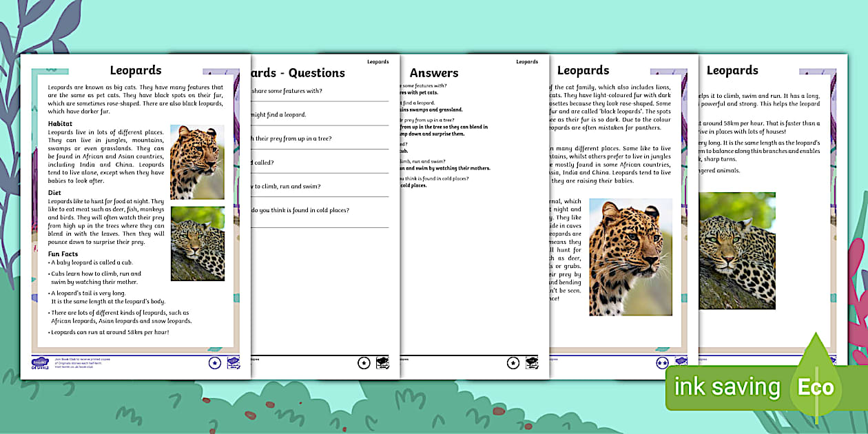Editable Leopards Differentiated Fact File (teacher made)