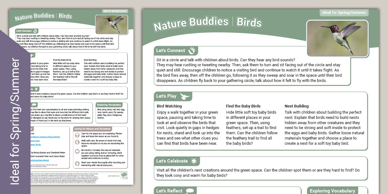 EYFS Nature Buddies: Birds | Outdoor Learning | Twinkl