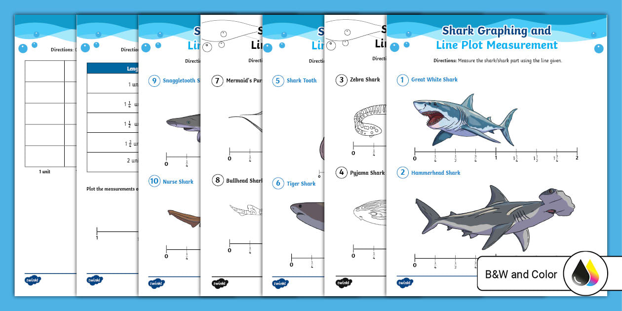 Shark Sizes Graphing and Measurement Activity | Twinkl USA