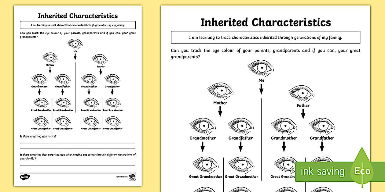 Inheritance: Homework Worksheet / Worksheet (teacher made)