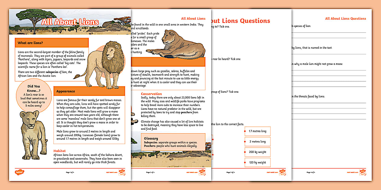 LKS2 All About Lions Reading Comprehension Activity - Twinkl
