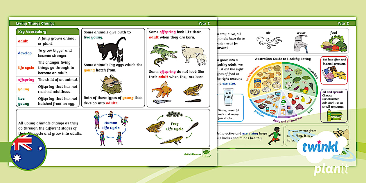 Year 2 Science Living Things Change Knowledge Organiser