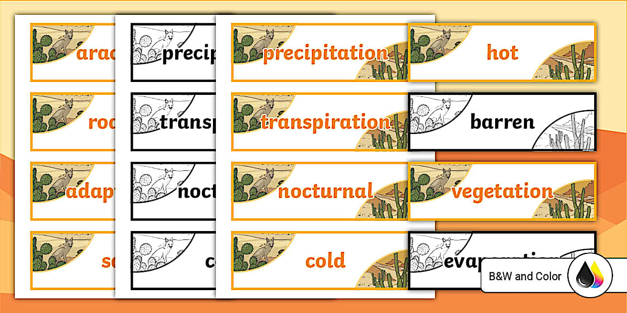 Desert Biome Word Cards for 3rd-5th Grade