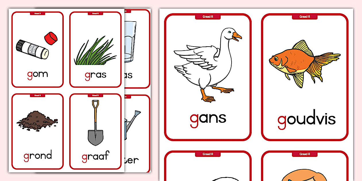 Graad R Klanke Flitskaarte g (teacher made) - Twinkl