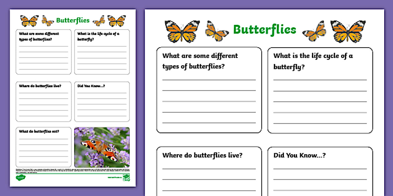 Butterfly Fact File Template - Twinkl Writing (teacher made)