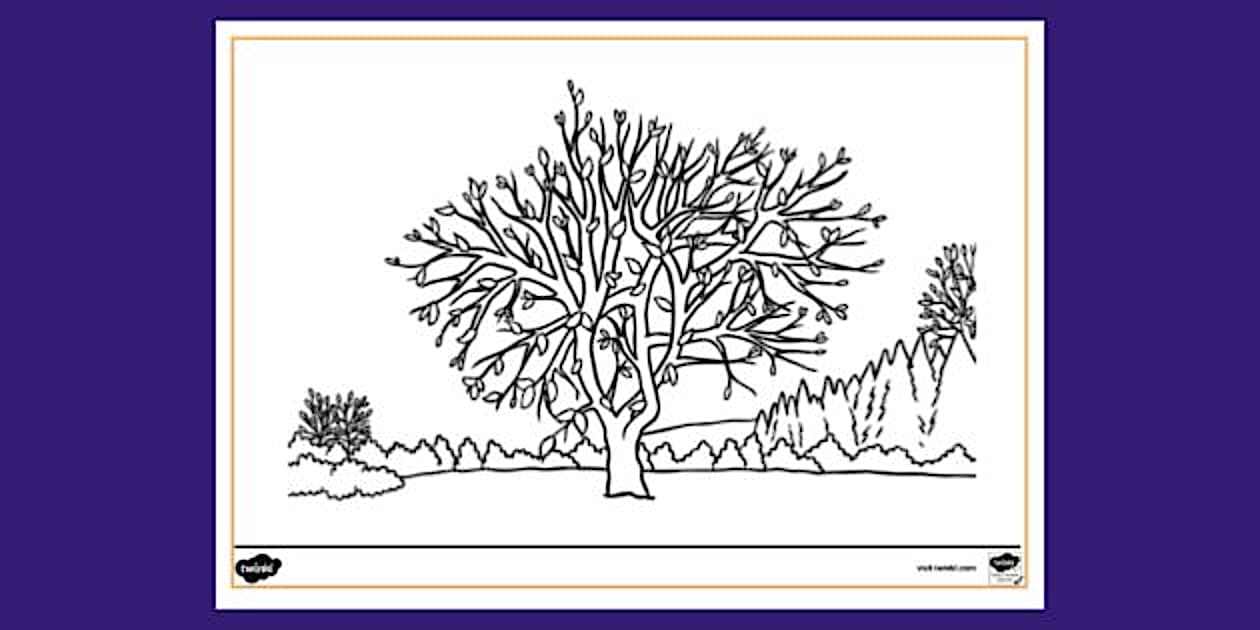Spring Scene Colouring Sheet | Colouring Sheets - Twinkl