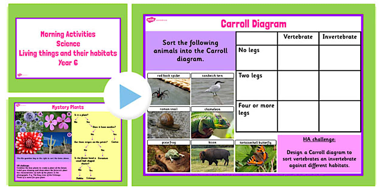 Year 6 Early Morning Science Activities Living Things - science