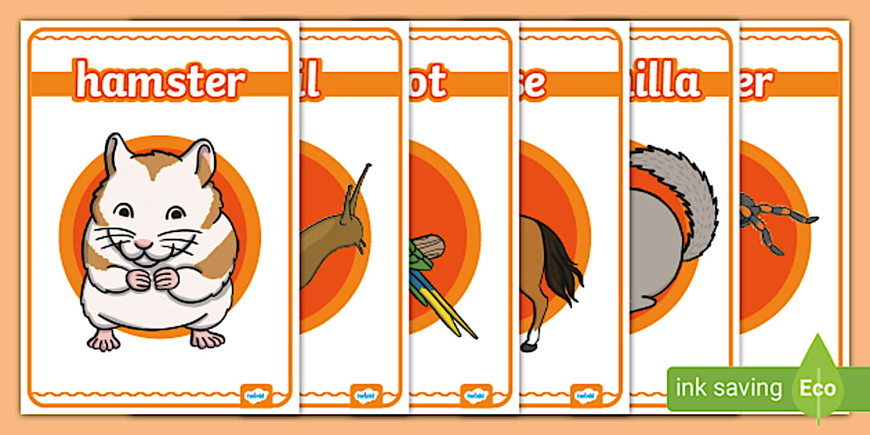 Pets Display Posters (teacher made) - Twinkl