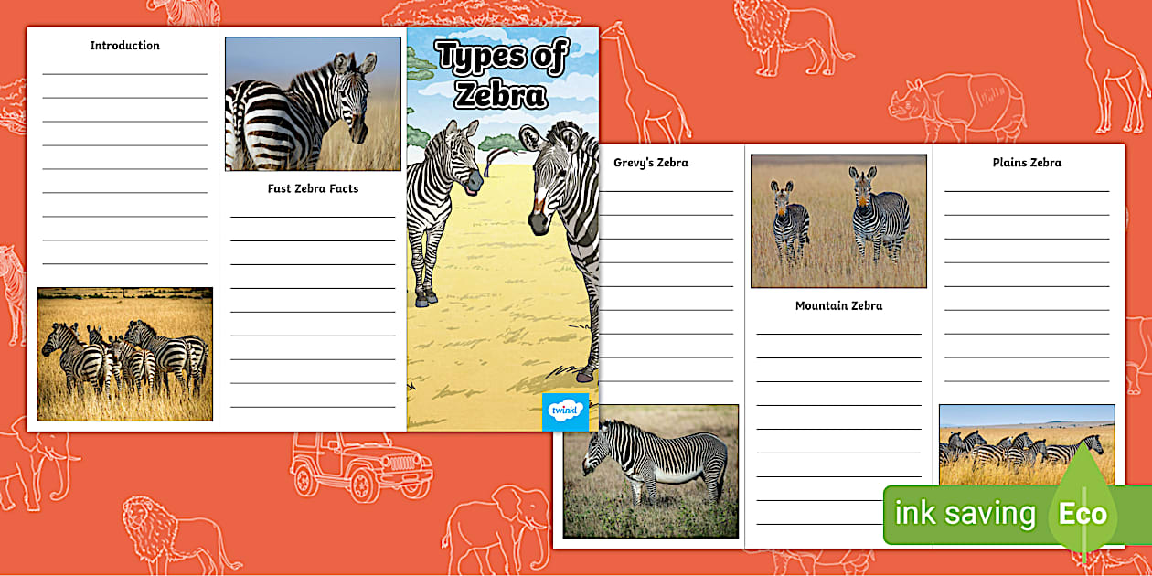 Types of Zebra Leaflet Template (Teacher-Made) - Twinkl