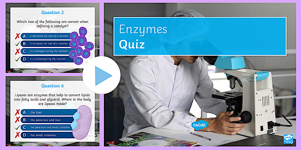 Enzymes Quick Quiz (teacher made) - Twinkl