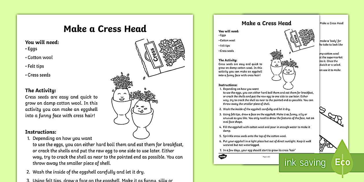 Make a Cress Head Activity Sheet (teacher made) - Twinkl