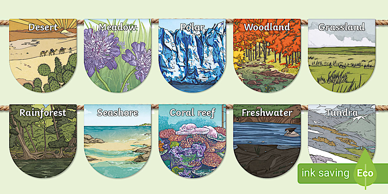 Habitats Photo Bunting (teacher made) - Twinkl