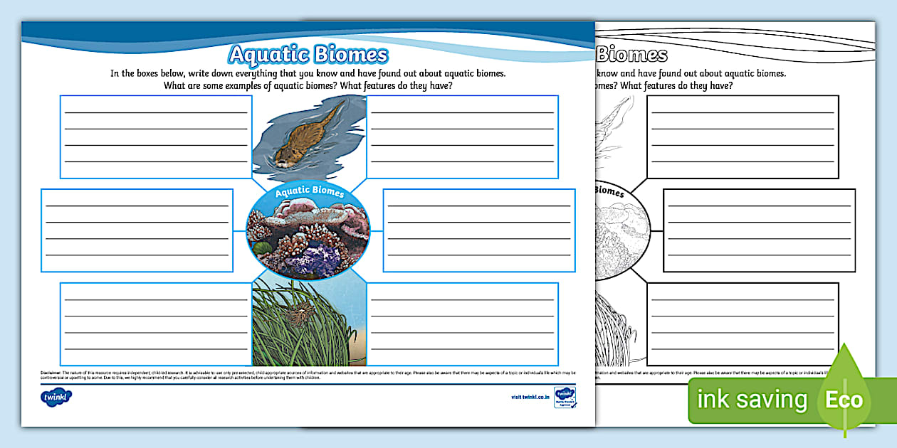 Aquatic Biomes Mind Map (teacher made) - Twinkl