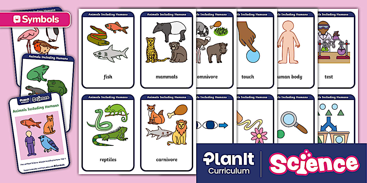 Twinkl Symbols: Animals Including Humans: Flashcards