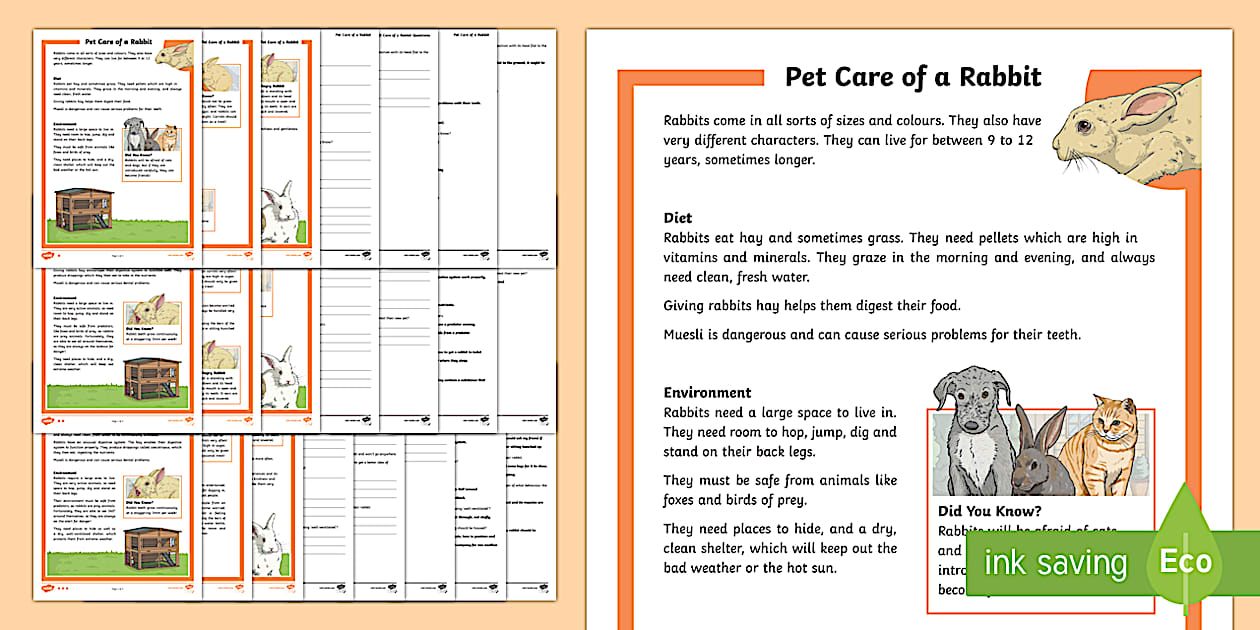 KS2 Pet Care of a Rabbit Differentiated Reading Comprehension