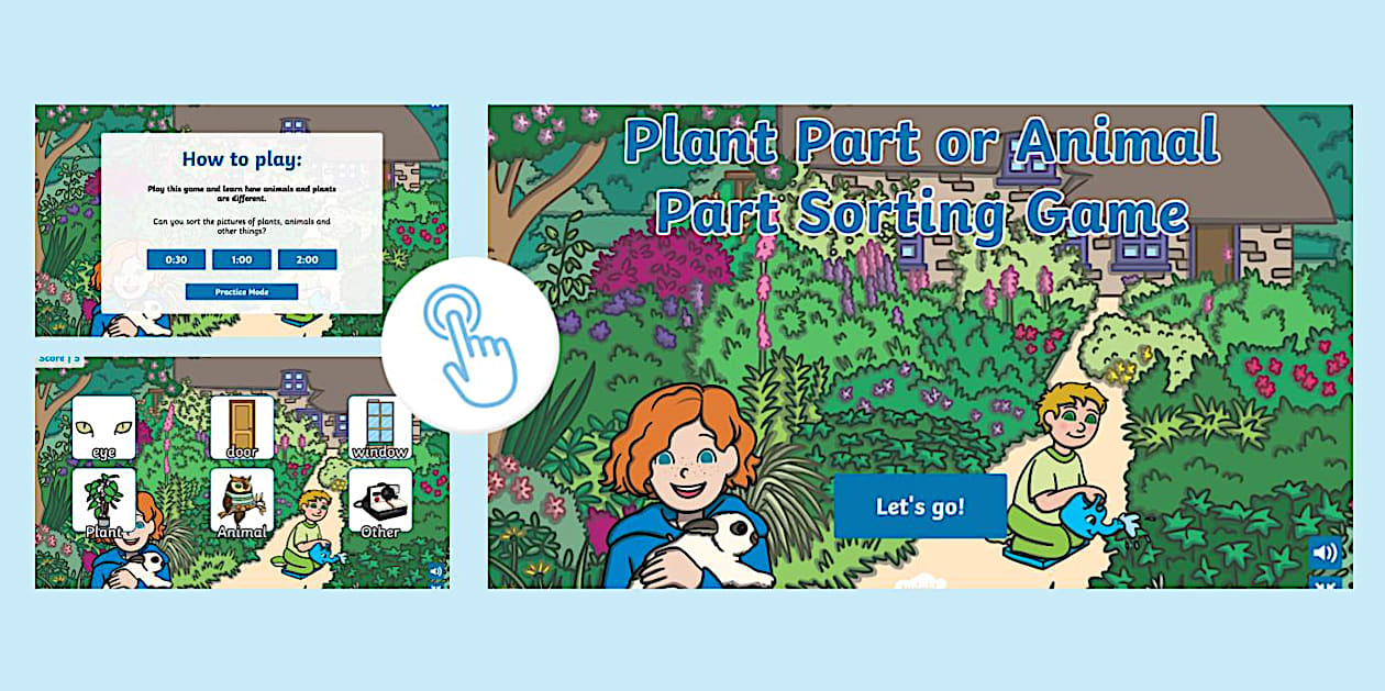 Plant or Animal Part Sorting Game (teacher made) - Twinkl