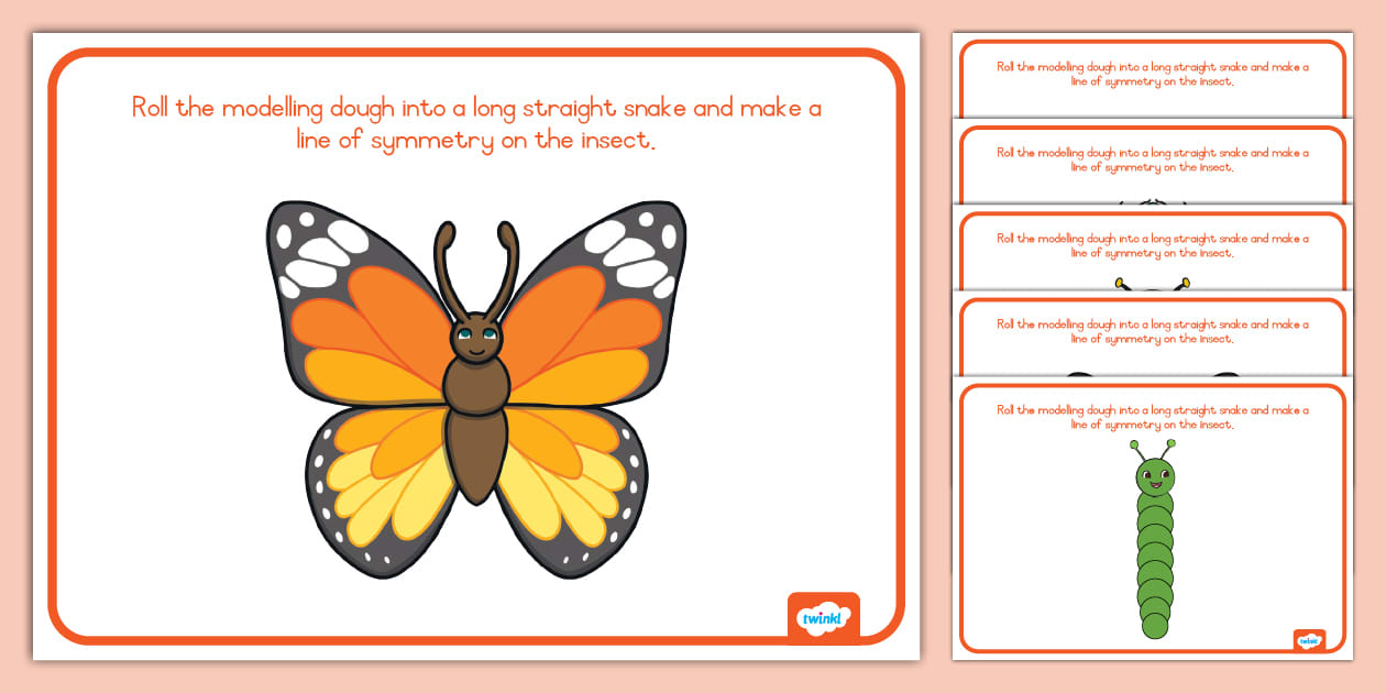 Grade 1 Symmetry: Insects Symmetry Modelling Dough Mats