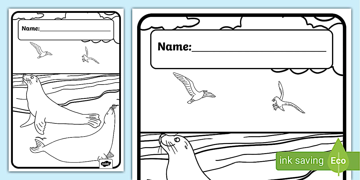 Seal Colouring Book Cover (teacher made) - Twinkl
