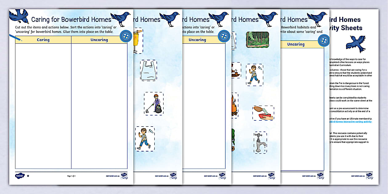 Caring for Bowerbird Homes Differentiated Activity Sheets